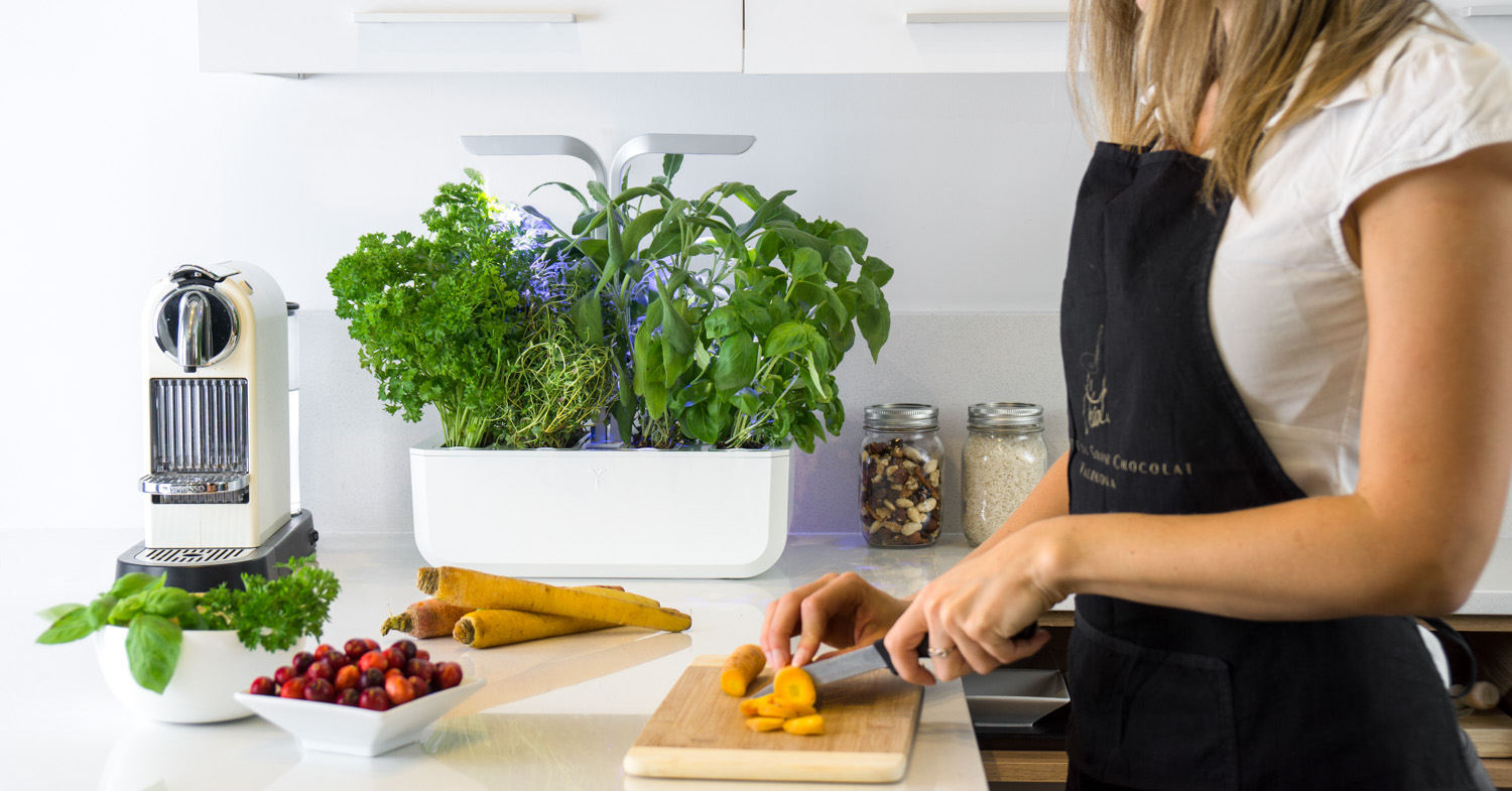 VERITABLE potager interieur scène-6 - Véritable