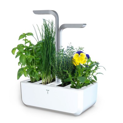 Veritable® Indoor Garden - fresh herbs all year round