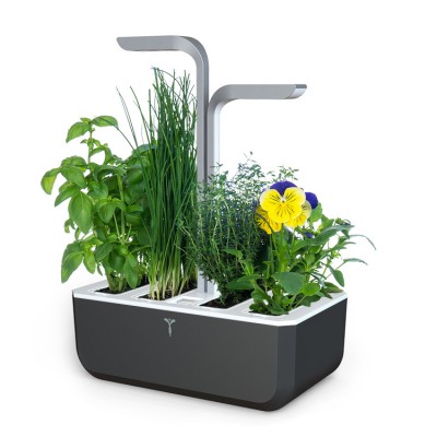 Veritable® Indoor Garden - fresh herbs all year round