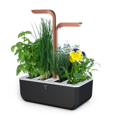 Veritable® Indoor Garden - fresh herbs all year round