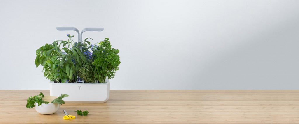 Jardin culinaire d'intérieur Veritable