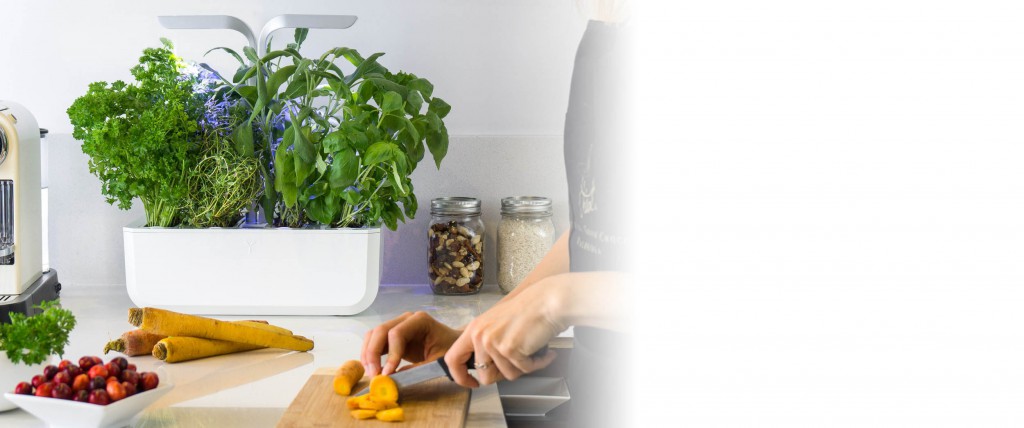 Veritable-potager-interieur-scene-1b - Véritable