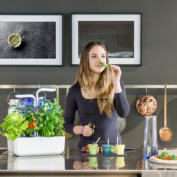 potager-veritable-jardin-intérieur - Véritable